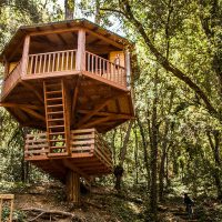 Pinetell - Cabanes Dosrius
