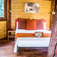 Pinetell - Cabanes Dosrius
