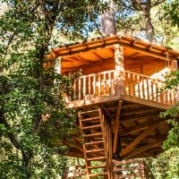 Rossinyol - Cabanes Dosrius